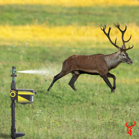 Motion-Activated Deer Sprinkler – ZeroDeer.com